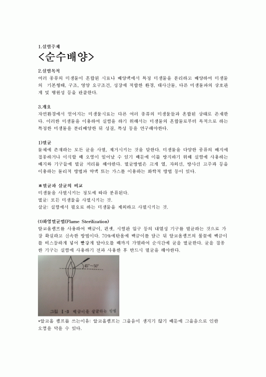 2.순수배양 미생물의  기본형태