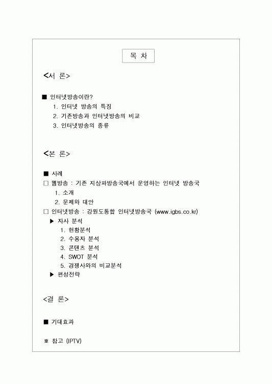 인터넷(internet) 방송