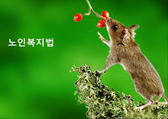 노인복지법.ppt