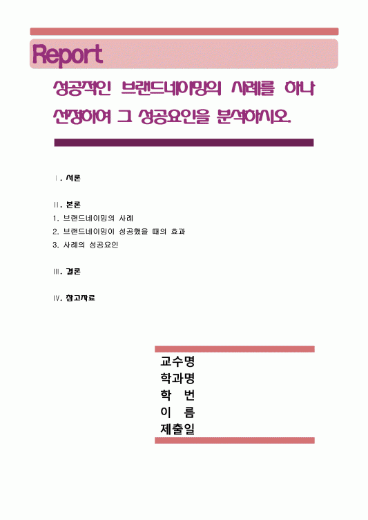 성공적인 브랜드네이밍의 사례를 하나 선정하여 그 성공요인을 분석.