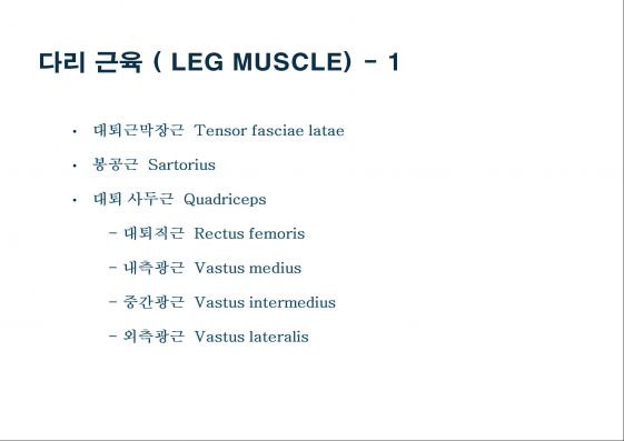 04. 다리 근육 (Leg muscle) - 1 의 기시, 정지 , 작용 , TP사진, 기능적 단위 등.pptx