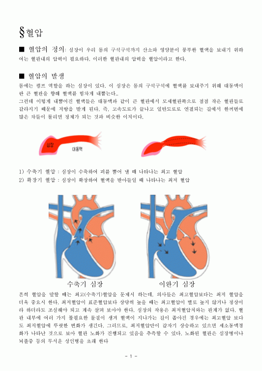 고혈압 - §혈압 & 고혈압