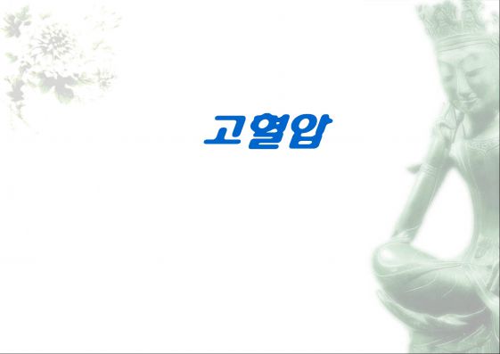 고혈압 {고혈압 정의, 원인 및 증상, 합병증, 치료 및 예방, 오해들}.ppt