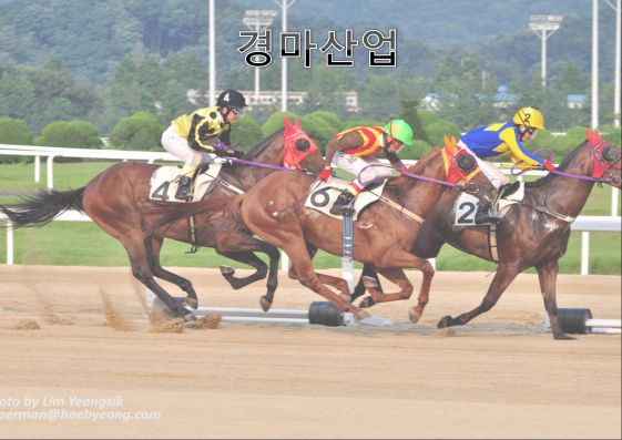 라스베가스의 벨라지오 카지노 산업현황