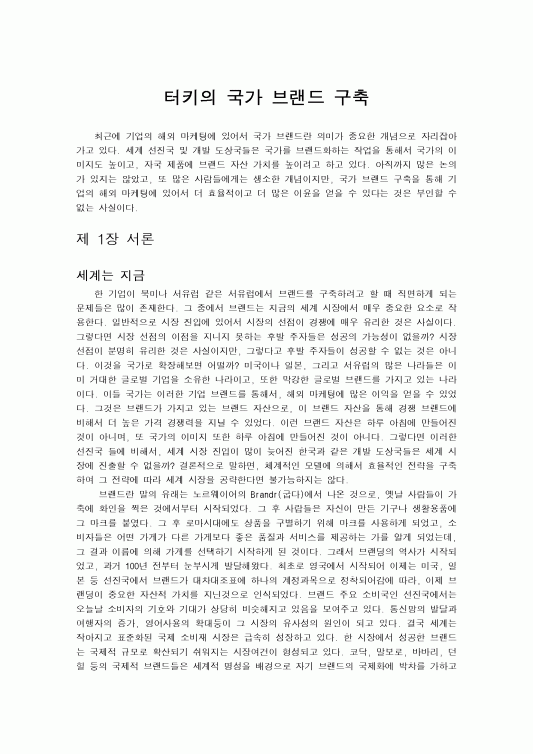 터키의 국가 브랜드 구축