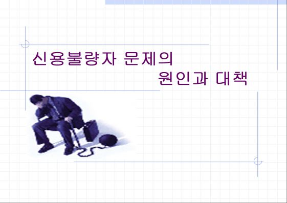 신용불량자 문제의 원인과 대책.ppt