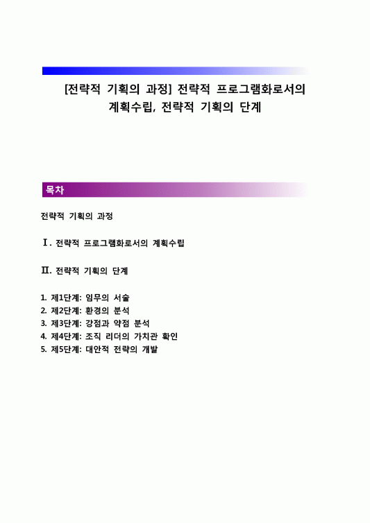 [전략적 기획의 과정] 전략적 프로그램화로서의 계획수립, 전략적 기획의 단계(1단게~5단계)