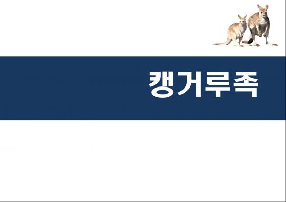 [캥거루족 해결방안] 캥거루족 - 캥거루족 개념과 실태 및 해결방안.pptx