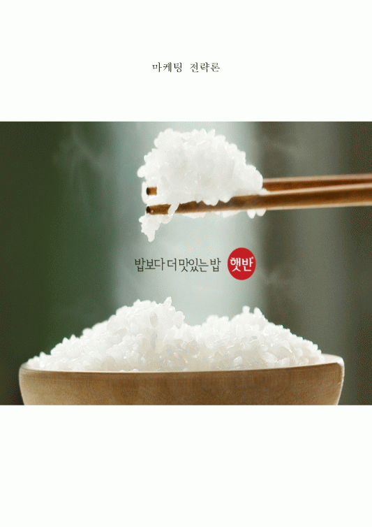 마케팅전략론 2차과제 - 햇반