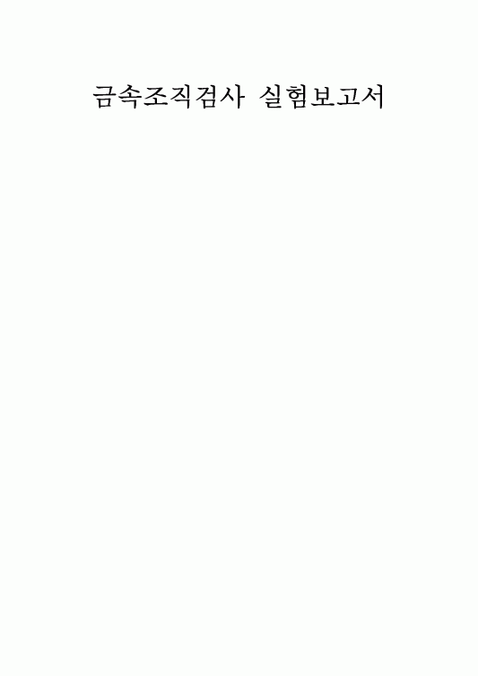 금속조직검사 실험보고서