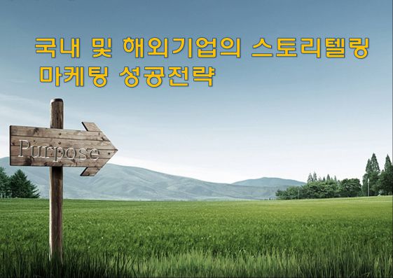 국내 및 해외기업의 스토리텔링(Storytelling) 마케팅 성공전략.ppt