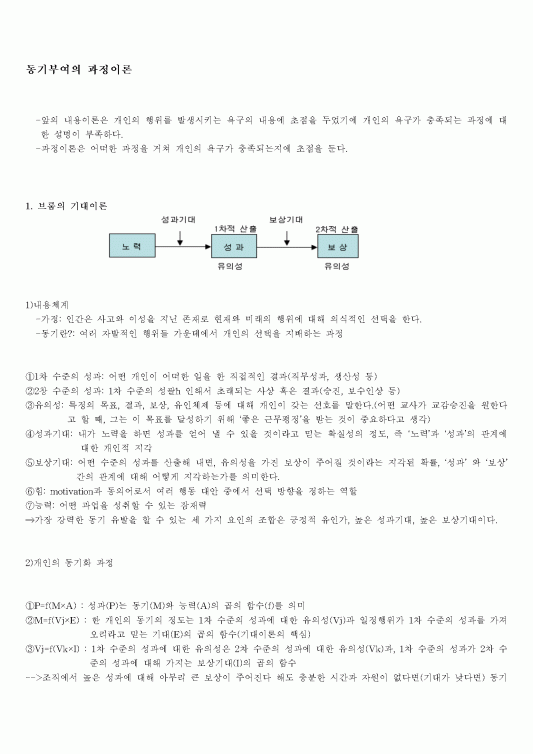 동기부여의 과정이론