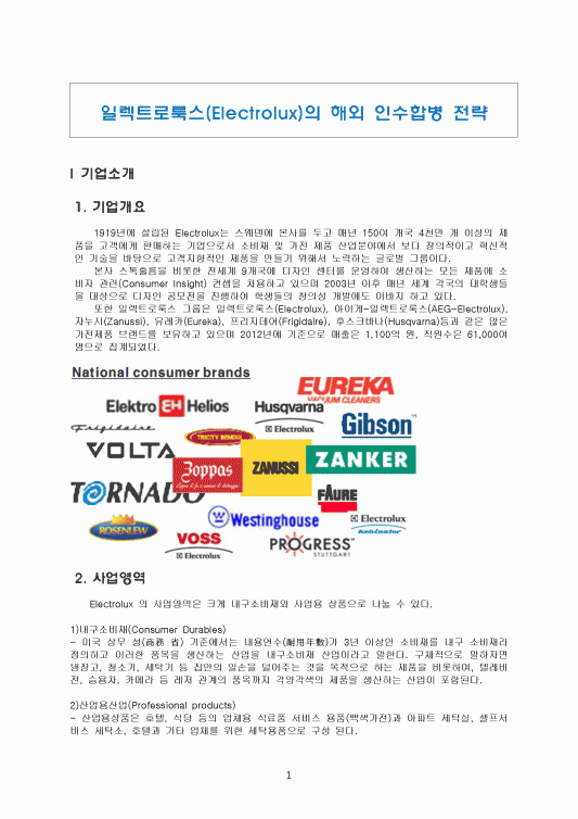 일렉트로룩스(Electrolux)의 해외 인수합병 전략