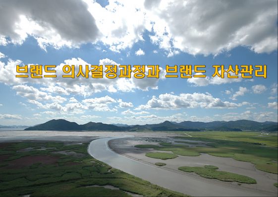브랜드 의사결정과정과 브랜드 자산관리