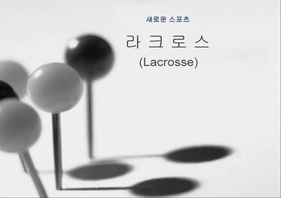 라크로스 레포트 자료