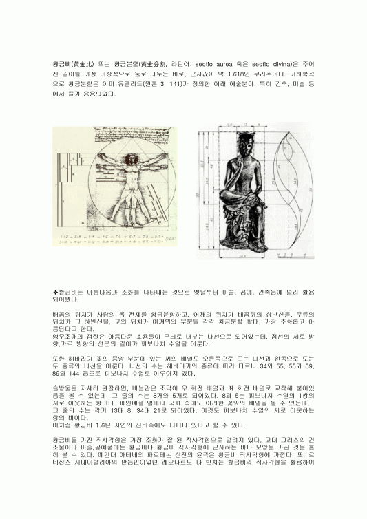 황금비율 레포트 자료