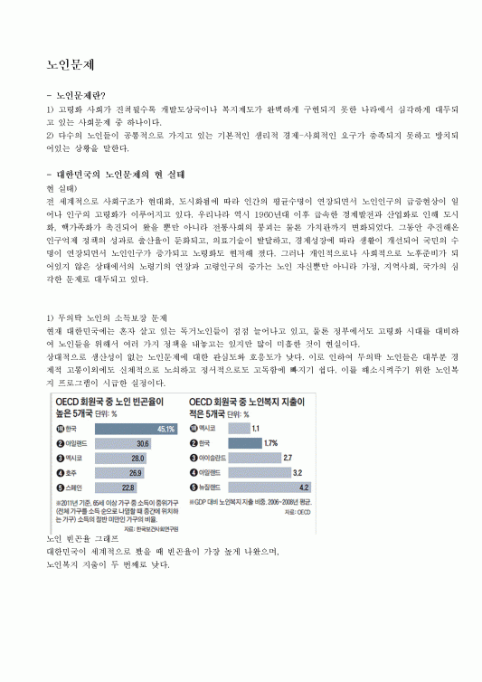 노인가족 문제에 대한 조사 레포트