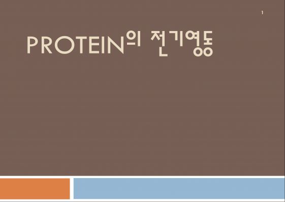 단백질 전기영동(생화학실험)