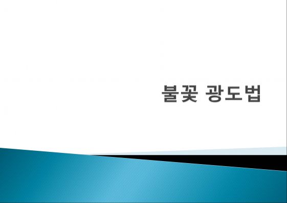 불꽃광도법 PPT