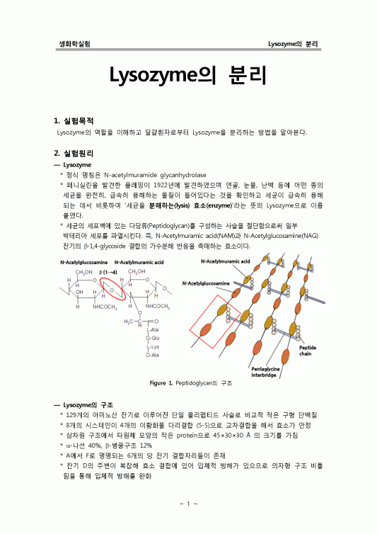 Lysozyme의 분리(예비보고서)
