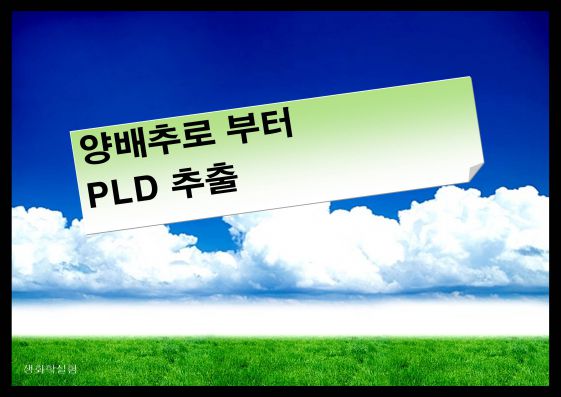 양배추로부터 PLD추출