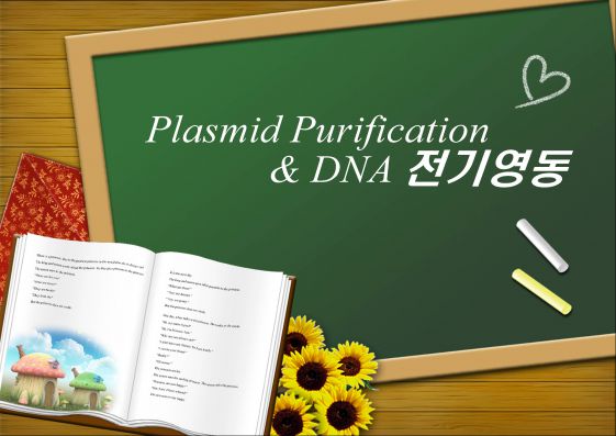 Plasmid Purification & DNA 전기영동