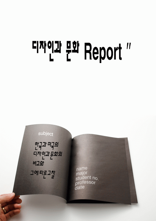 한국과 미국의 디자인과 문화의 비교와 그에 따른 고찰
