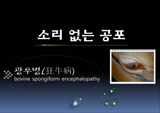 광우병 레포트 자료