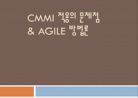 CMMI 적용의 문제점 & Agile 방법론