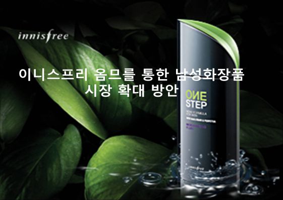 이니스프리 옴므를 통한 남성화장품 시장 확대 방안
