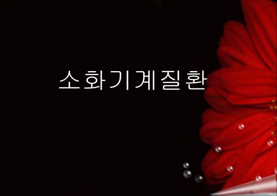 소화기계질환