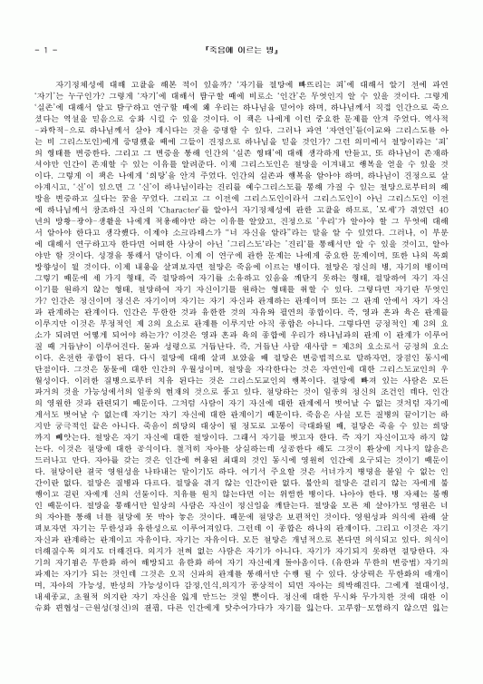 키에르케고르 죽음에 이르는 병 - 비평과 적용 -