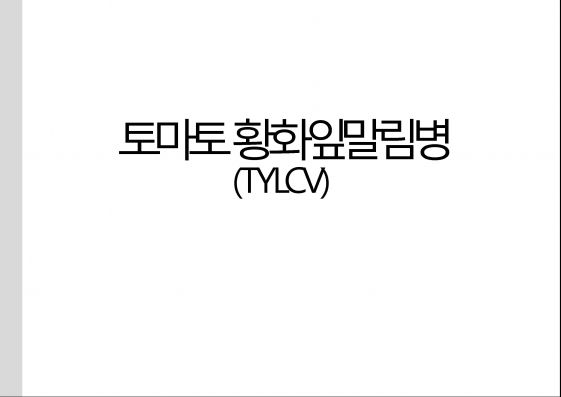 토마토tomato 병해 - 토마토 황화잎말림병 (TYLCV)