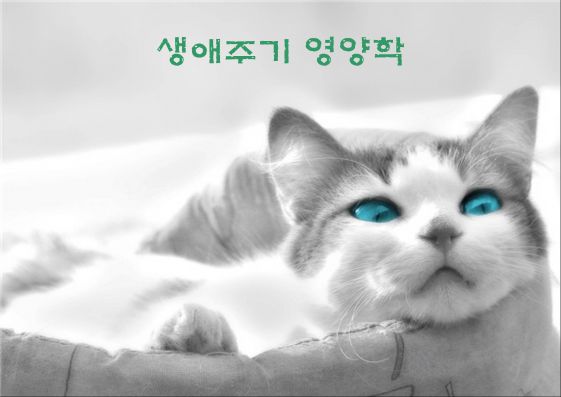 임신기영양 PPT(임신부영양, 임신기, 태반, 양수의역할, 수유부영양)