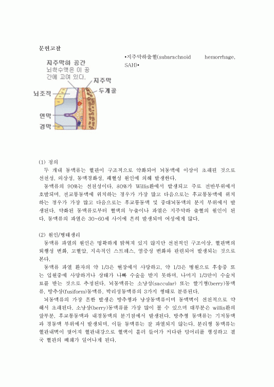 문헌고찰-지주막하출혈