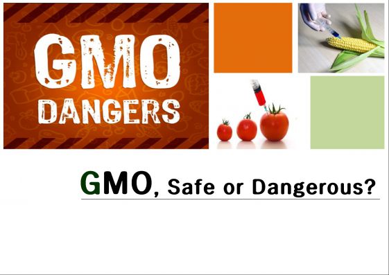 GMO란,GMO의 현황,GMO 논란,브랜드brand마케팅,서비스마케팅,글로벌경영,사례분석,swot,stp,4p