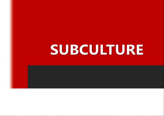 Subculture의 정의,Dick Hebdige의 Subculture의 해석,Subculture의 병합,Subculture의 스타일style과 상품화