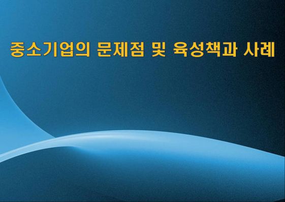 중소기업의 문제점 및 육성책과 사례