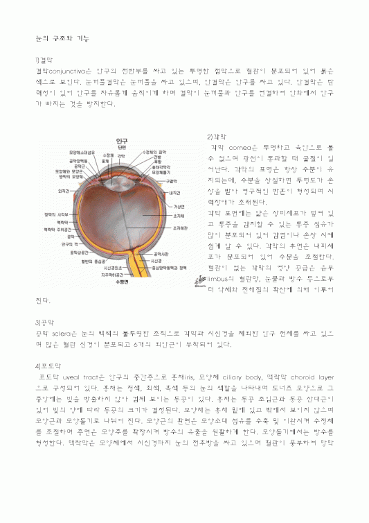 ppv 레포트 자료