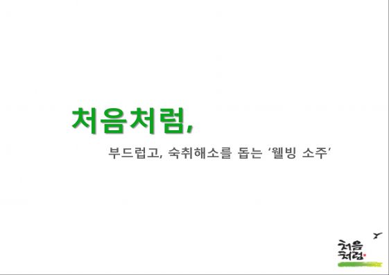 처음처럼 마케팅 PPT
