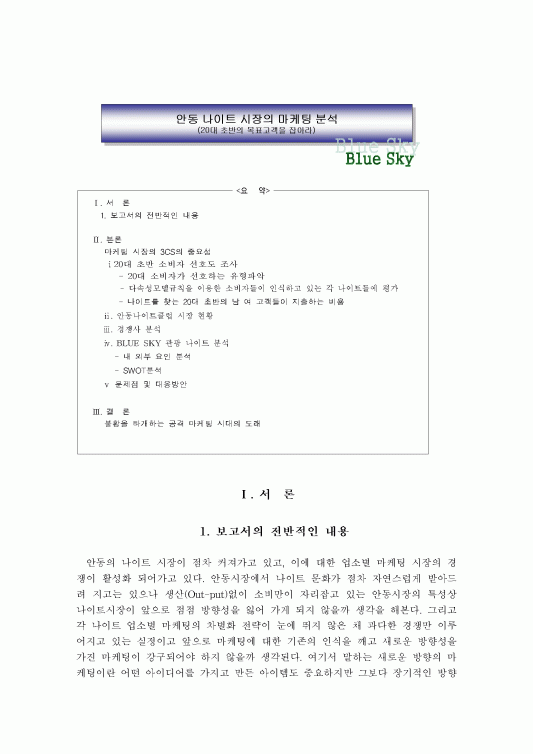 나이트클럽 마케팅 분석 관련 보고서
