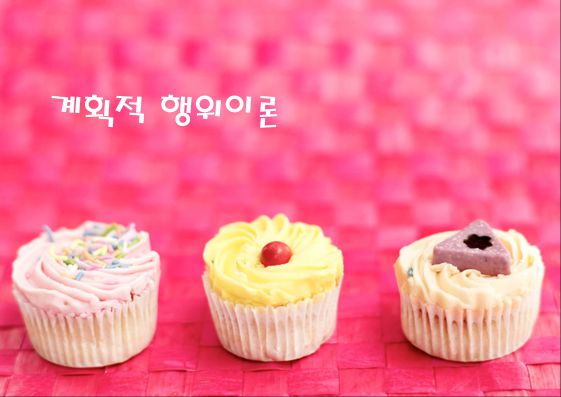 [건강증진이론] 계획적 행위이론