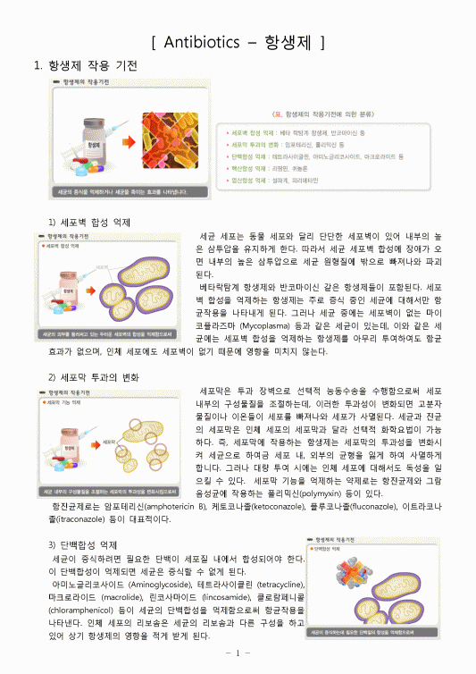 항생제 종류 및 분류