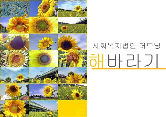 사회복지법인 더모닝 해바라기