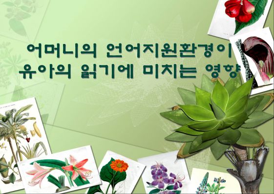 어머니의 언어지원환경이 유아의 읽기에 미치는 영향