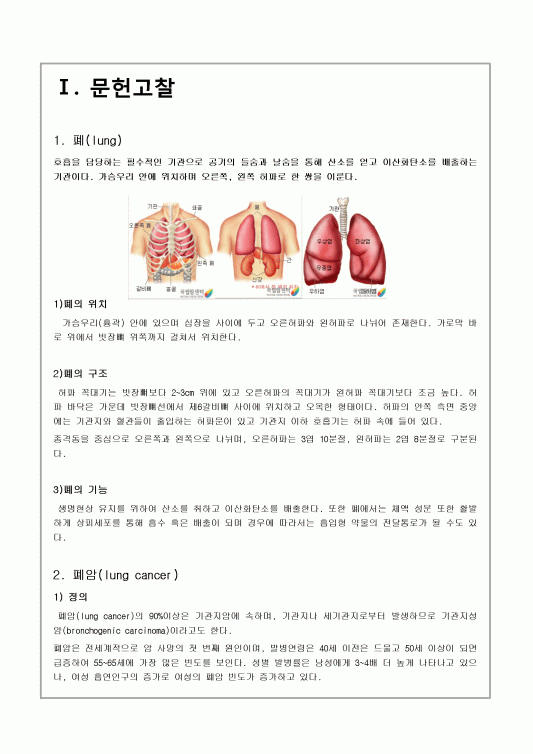 폐암 Lung cancer 케이스스터디 (case study)
