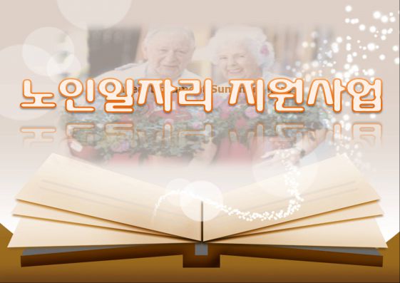 노인일자리 지원사업