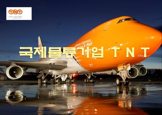 국제물류기업 TNT