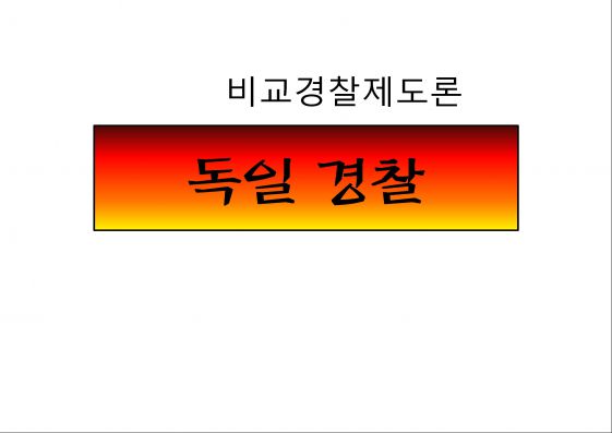[비교경찰제도론] 독일 경찰