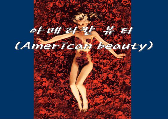 아메리칸 뷰티 (American beauty)